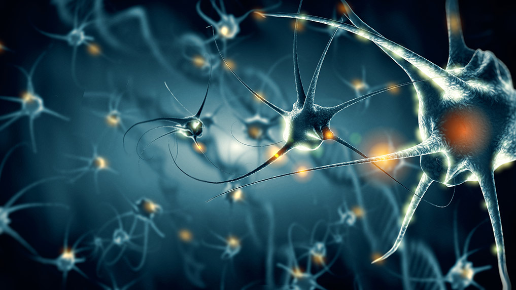 Neurofilament Light Chain as a Blood-Based Biomarker for MS